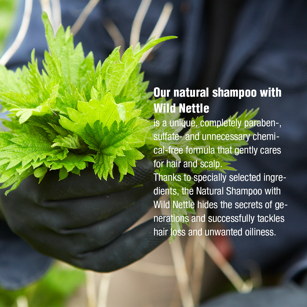 Natural Wild Nettle Shampoo for Hair Loss | InaEssentials.UK